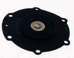 Thread Connection Solenoid Valve Diaphragm With Stainless Steel ...