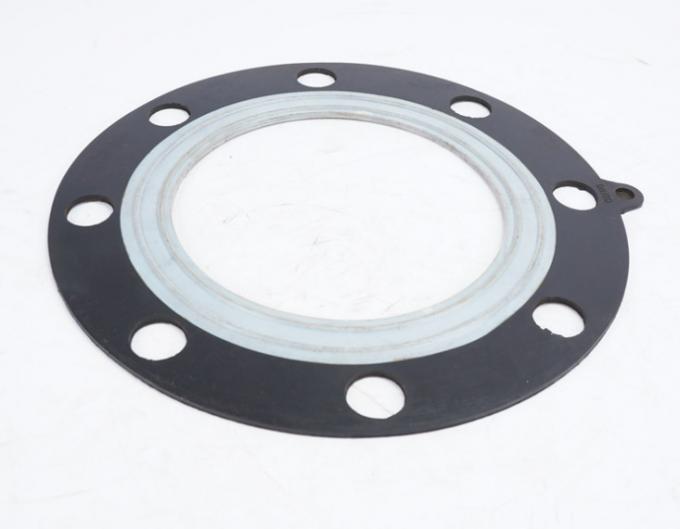 PTFE Rubber Flange Gasket Pharmaceutical Food Chemical Cladding